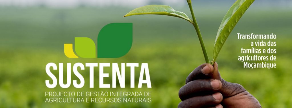 Ministério da Agricultura e Desenvolvimento Rural avalia impacto do programa Sustenta e campanha ...