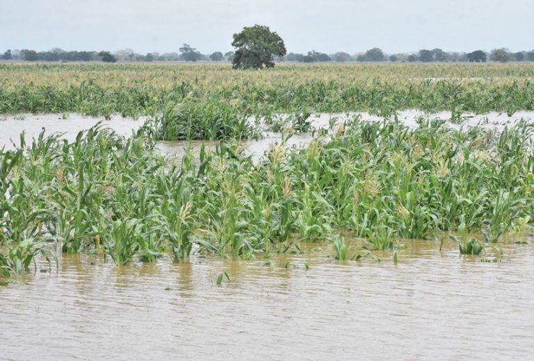 Subida do caudal do rio Incomáti afecta mais de 2 mil hectares de ...