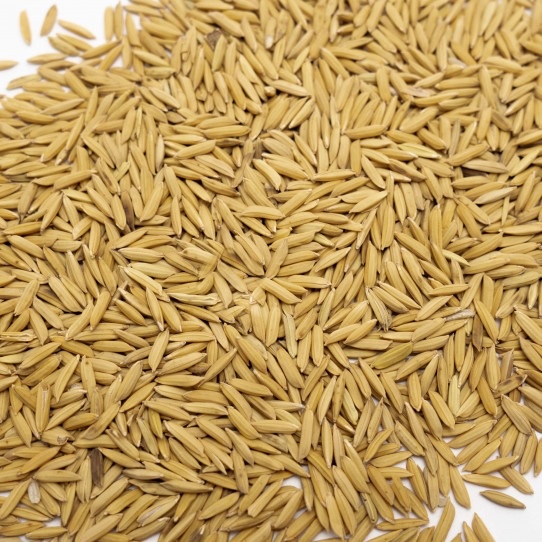 Autoridades da saúde em Marromeu devem estar em prontidão face a ...